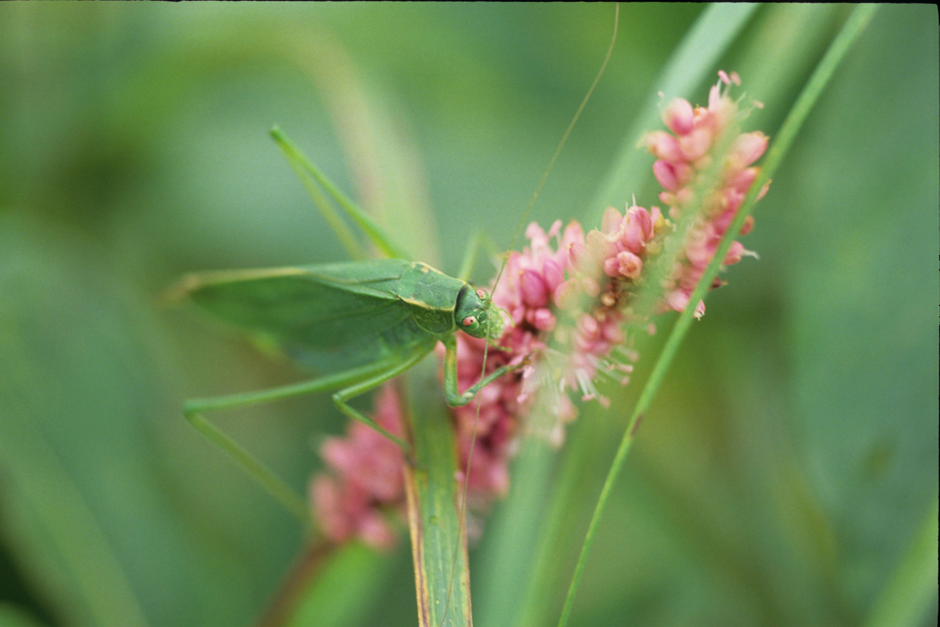 Plan the Perfect Road Trip on Minnesota's Scenic Byways | Explore Minnesota