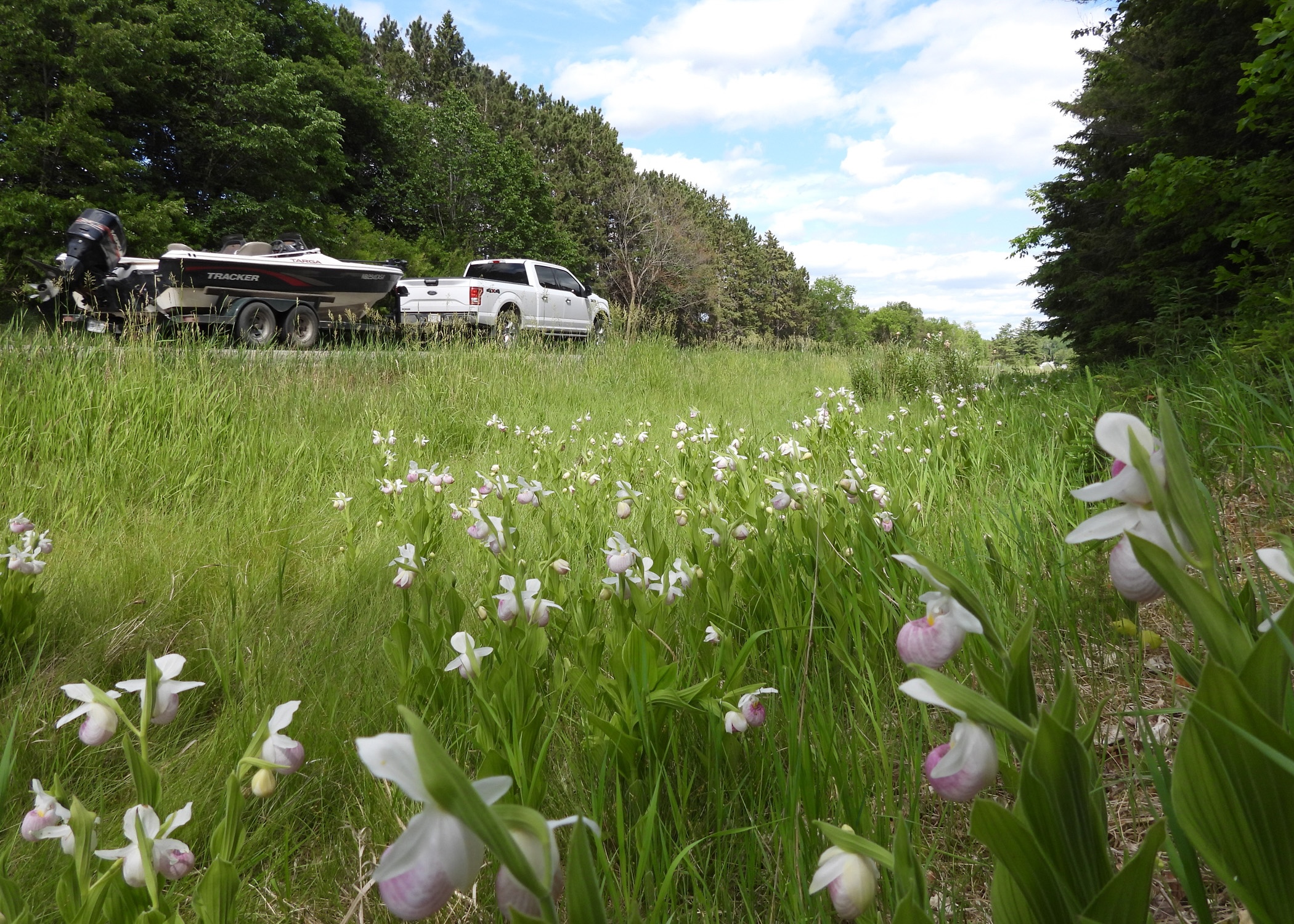 Plan the Perfect Road Trip on Minnesota's Scenic Byways | Explore Minnesota