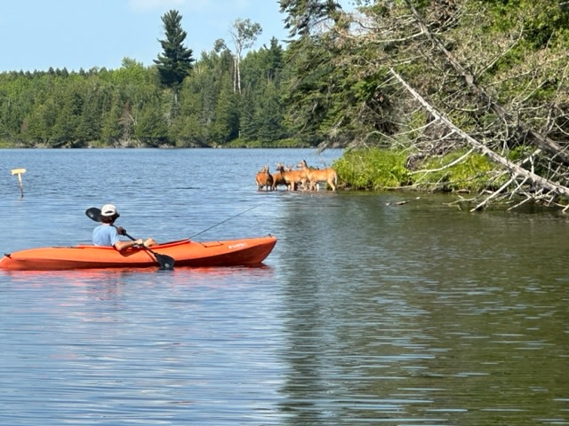 Loon Point Resort | Explore Minnesota