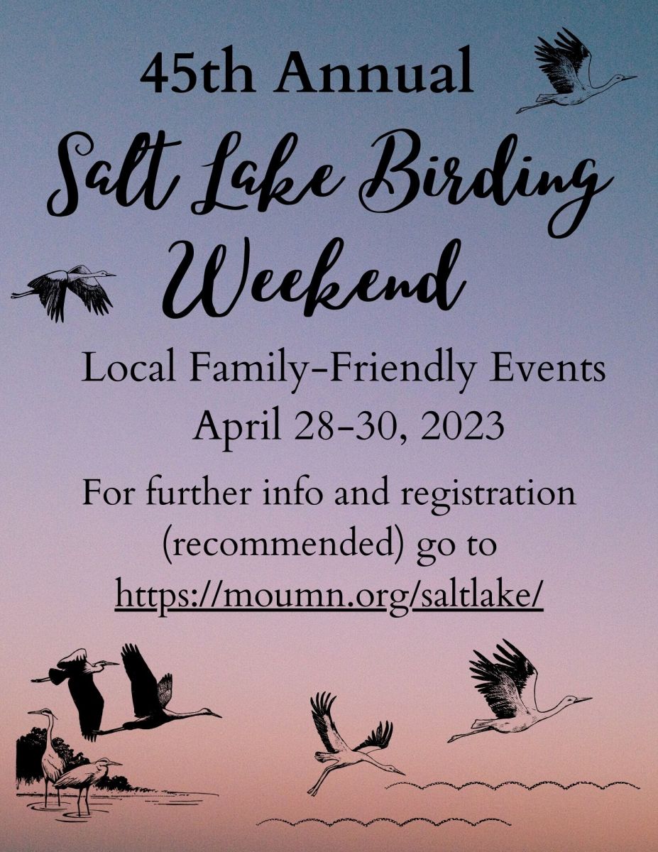 Salt Lake Birding Weekend | Explore Minnesota
