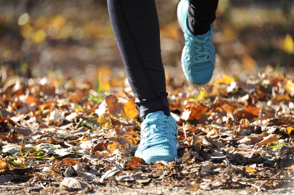 Fall Color Trail Run/Hike | Explore Minnesota