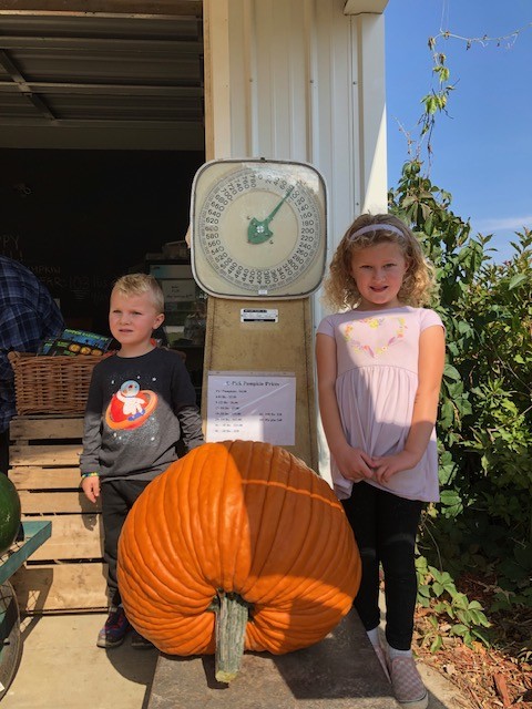 Bridgewater Farm Opening Weekend | Explore Minnesota