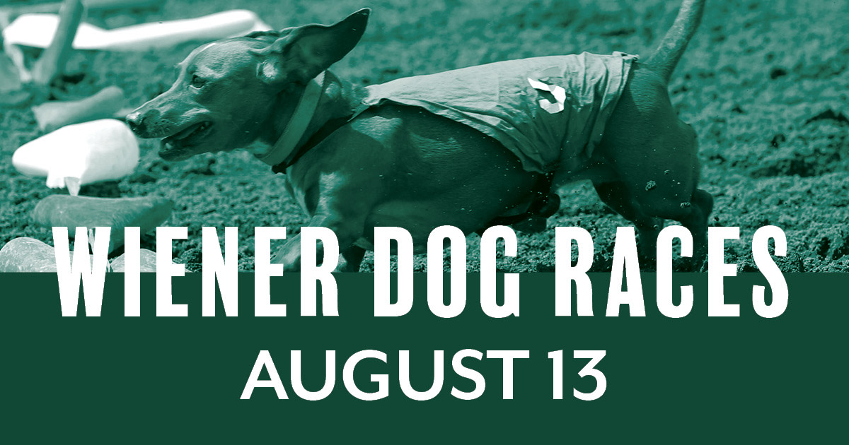 Wiener Dog Nationals 2022