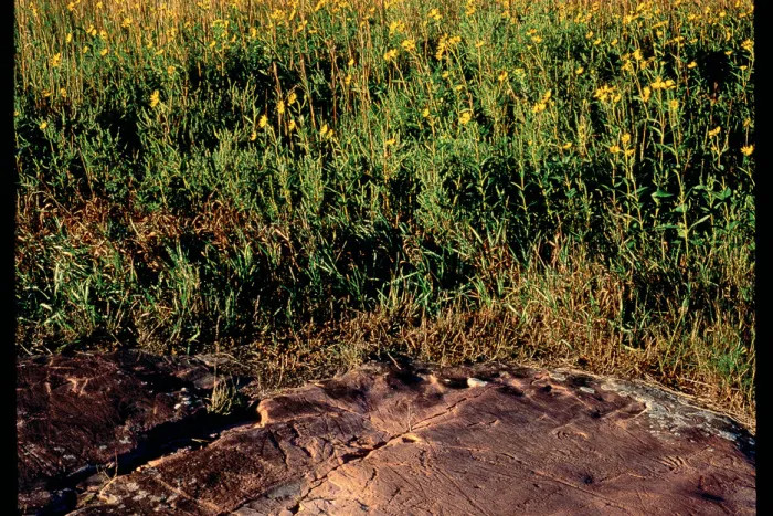 Jeffers Petroglyphs | Explore Minnesota