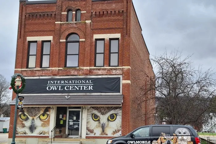 International Owl Center | Explore Minnesota