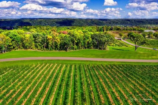 Rustic Roots Winery | Explore Minnesota