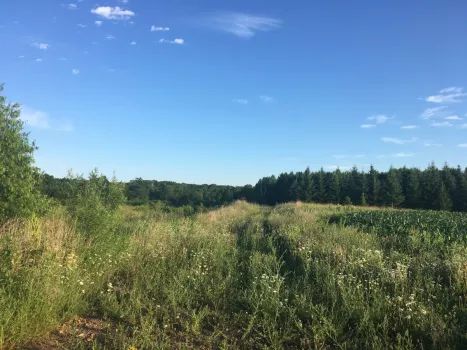Osprey Wilds Environmental Learning Center | Explore Minnesota