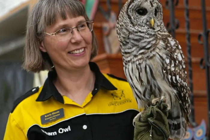 International Owl Center | Explore Minnesota