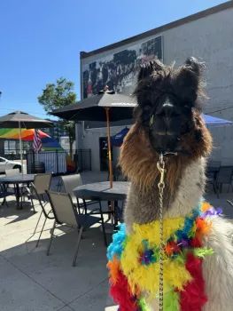 The Midway Saloon | Explore Minnesota