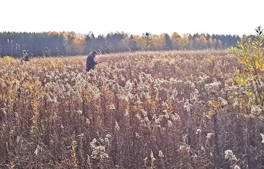 Osprey Wilds Environmental Learning Center | Explore Minnesota