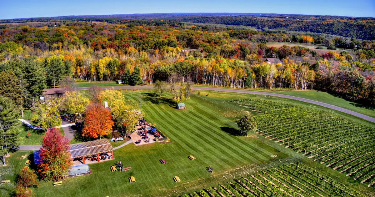 How to Build a Trip Around Minnesota's Best Wineries | Explore Minnesota