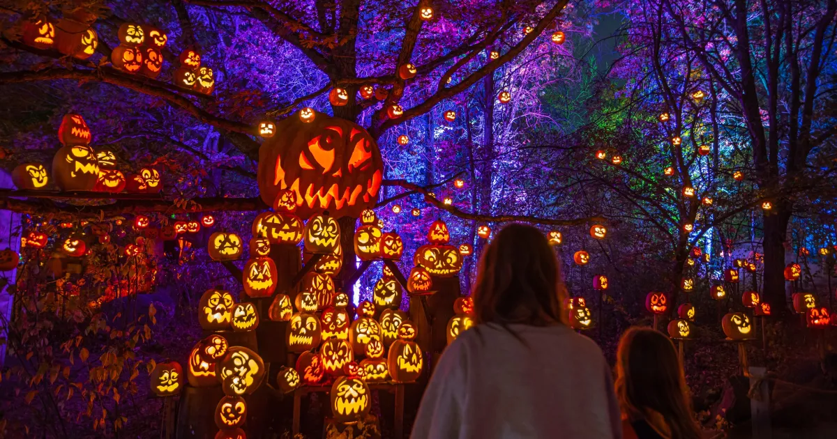Minnesota's Best Fall Events | Explore Minnesota