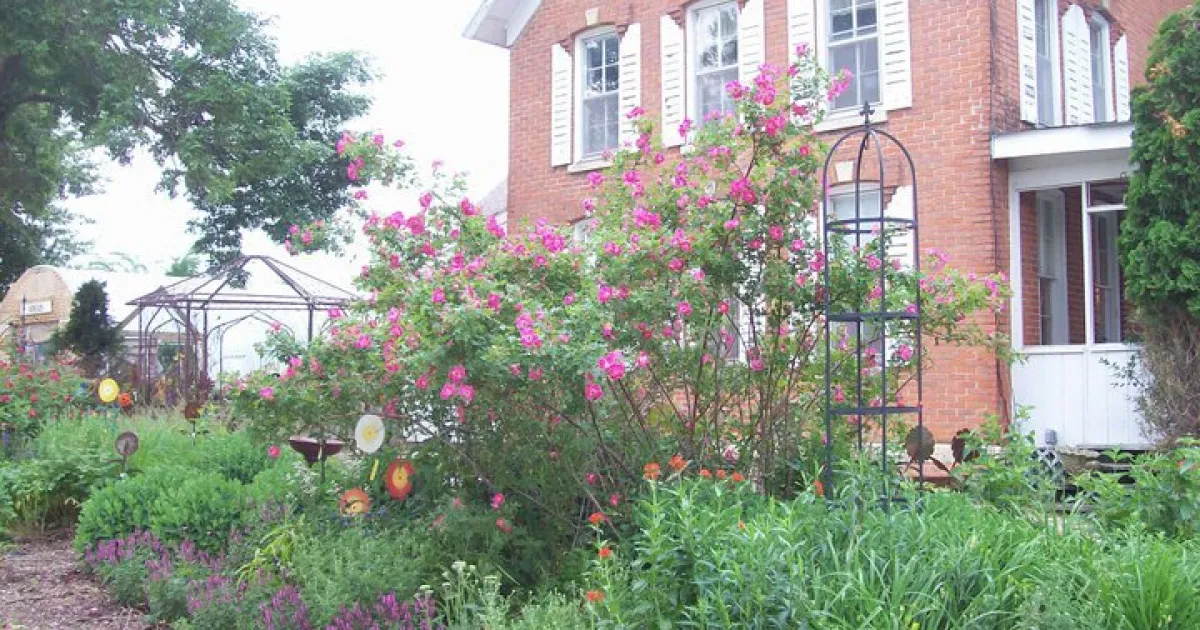 Garten Marketplatz Perennial Farms | Explore Minnesota