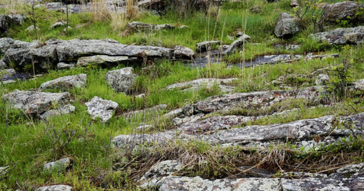 Gneiss Outcrops SNA | Explore Minnesota