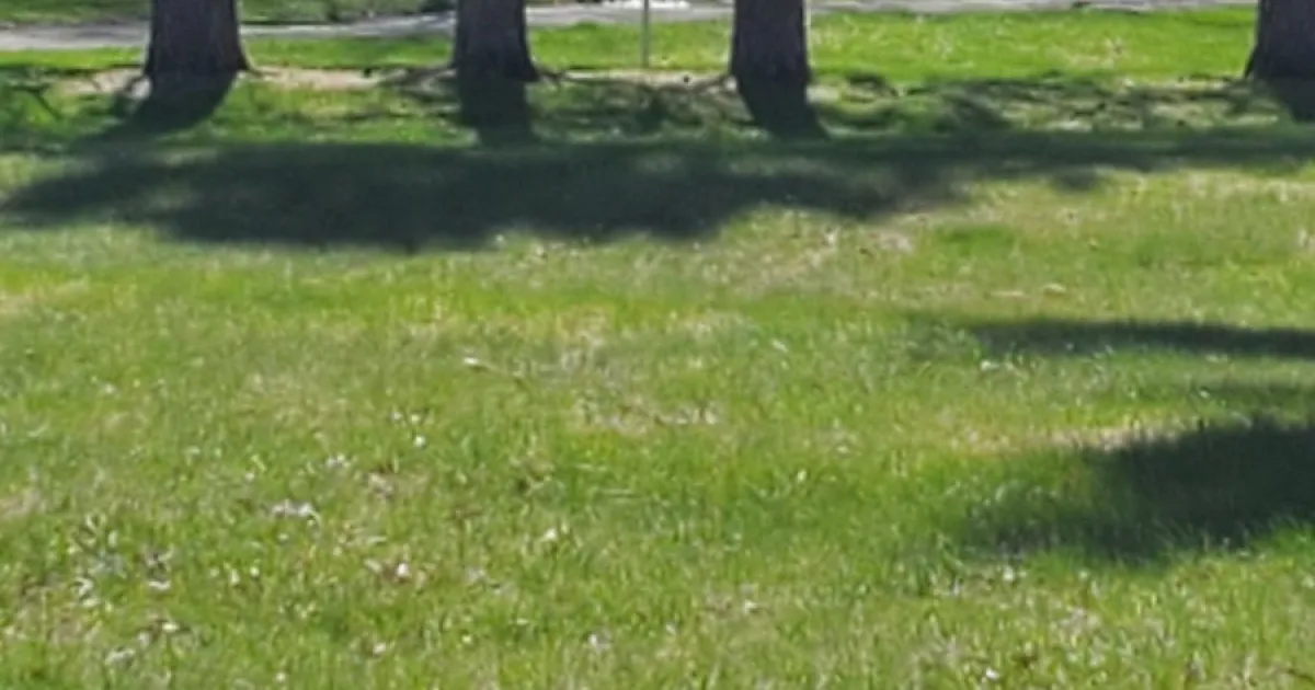 Preston Disc Golf Course | Explore Minnesota