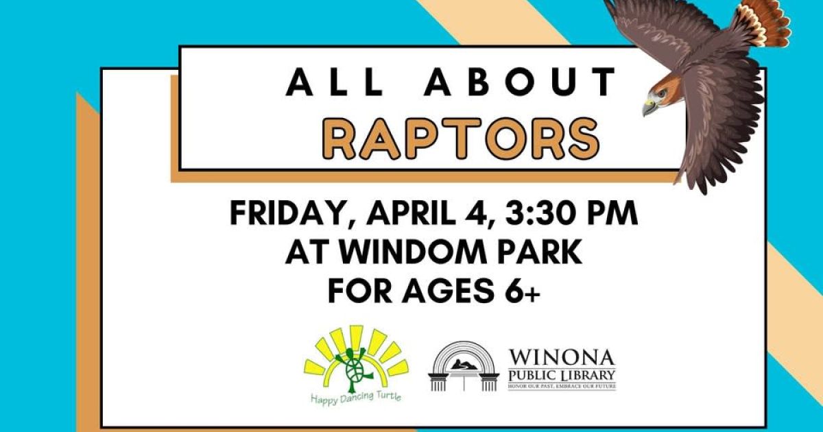 All About Raptors | Explore Minnesota