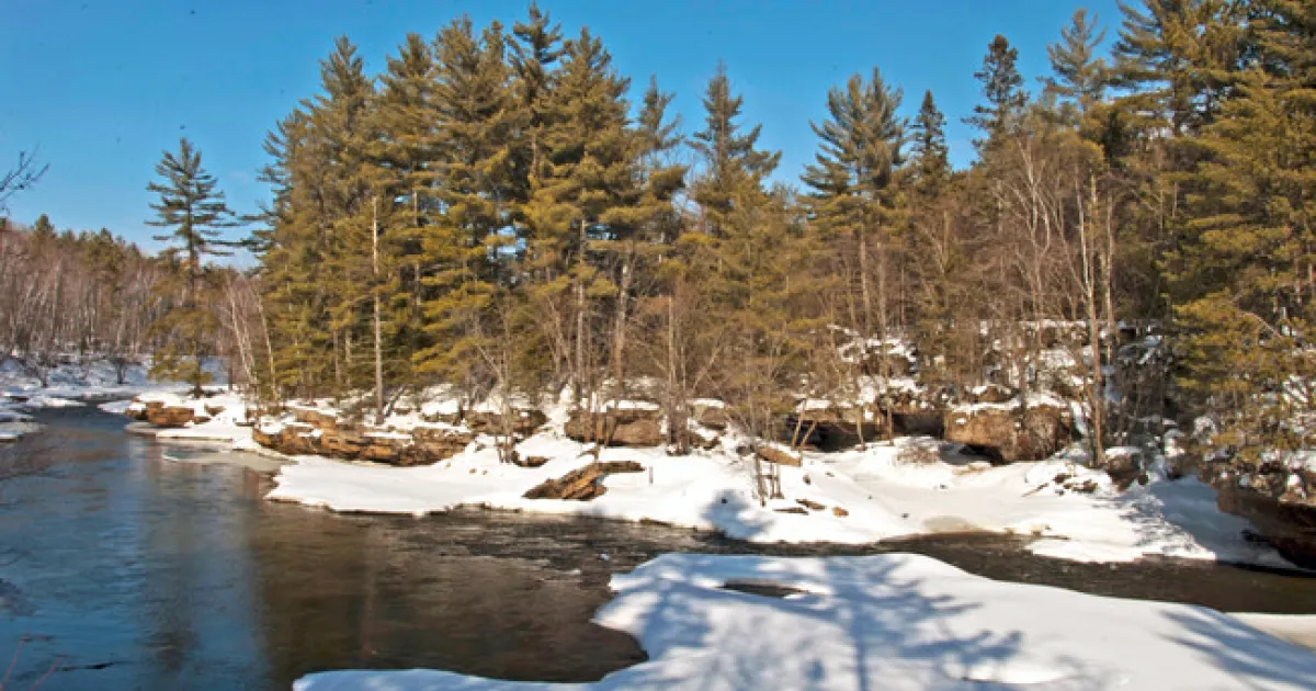 Free State Park Day | Explore Minnesota