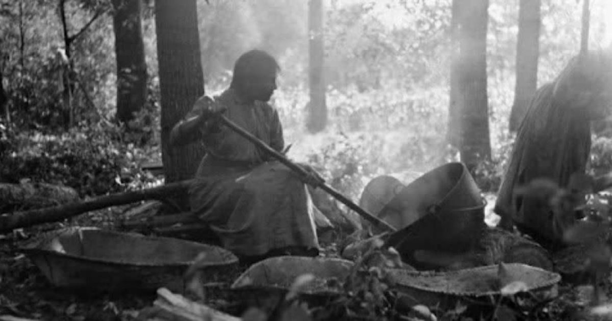 Wild Rice Processing Demo | Explore Minnesota