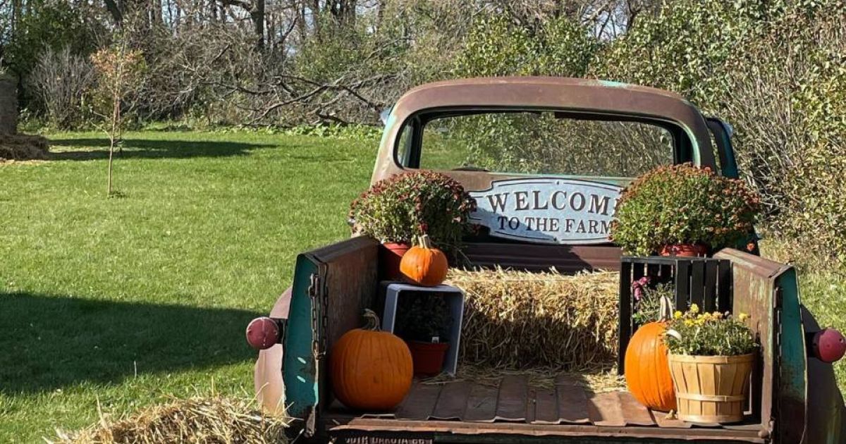 Kandi Land Farm | Explore Minnesota