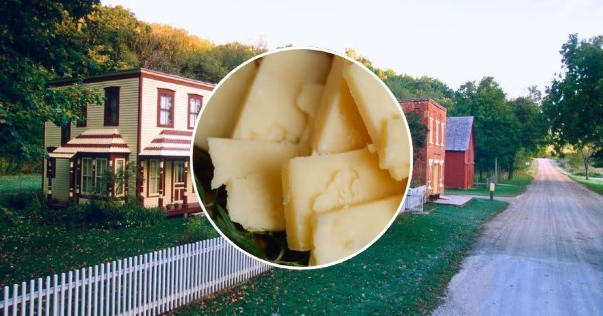 Cheese Making Demo | Explore Minnesota