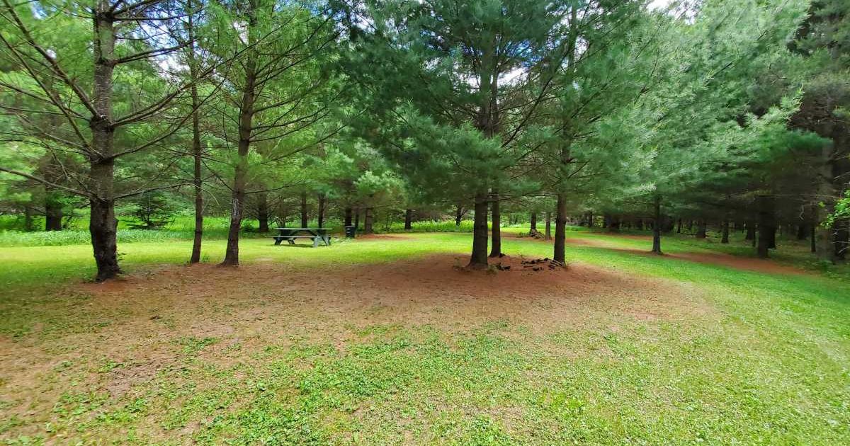 Osprey Wilds Campgrounds | Explore Minnesota