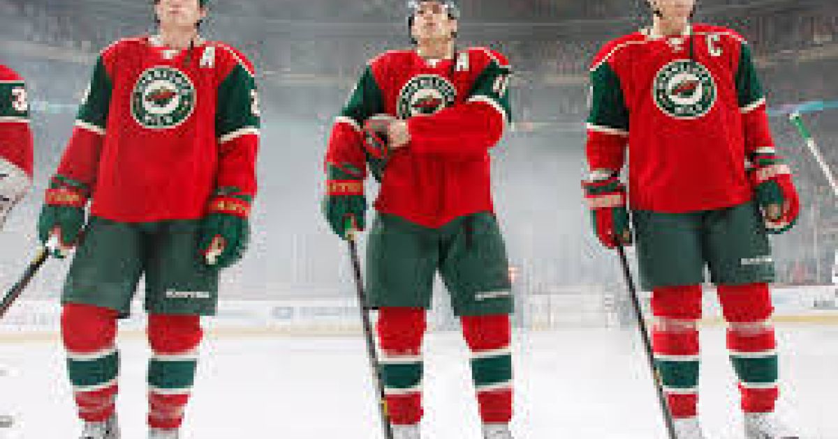 Minnesota Wild | Explore Minnesota