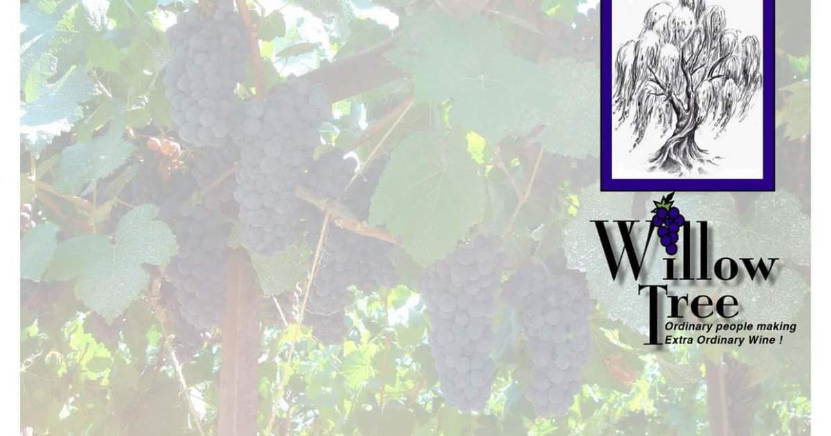 Willow Tree Winery | Explore Minnesota