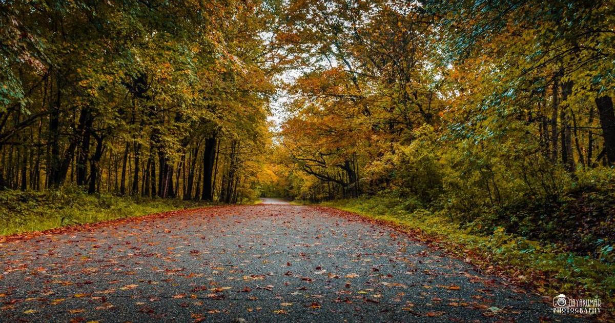 Camden Regional Bike Trail | Explore Minnesota