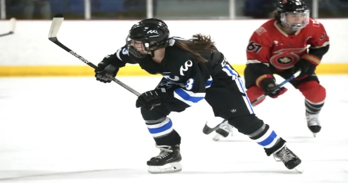 Minnesota Whitecaps | Explore Minnesota