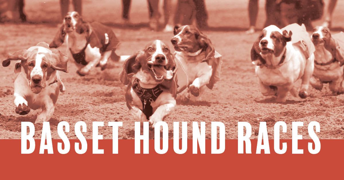 Basset Hound Races | Explore Minnesota