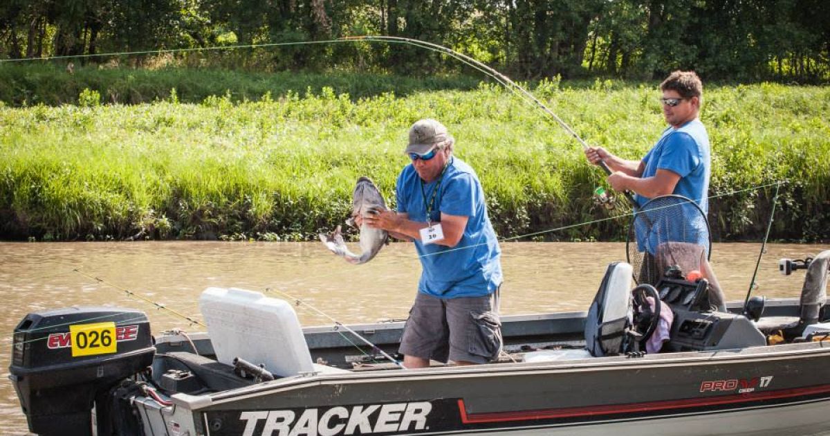 Cats Incredible Catfish Days | Explore Minnesota