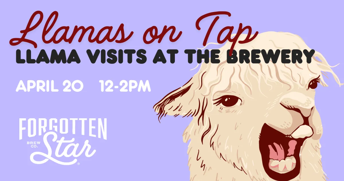 Llamas on Tap: Llama Visits at Forgotten Star Brewing Co. | Explore ...
