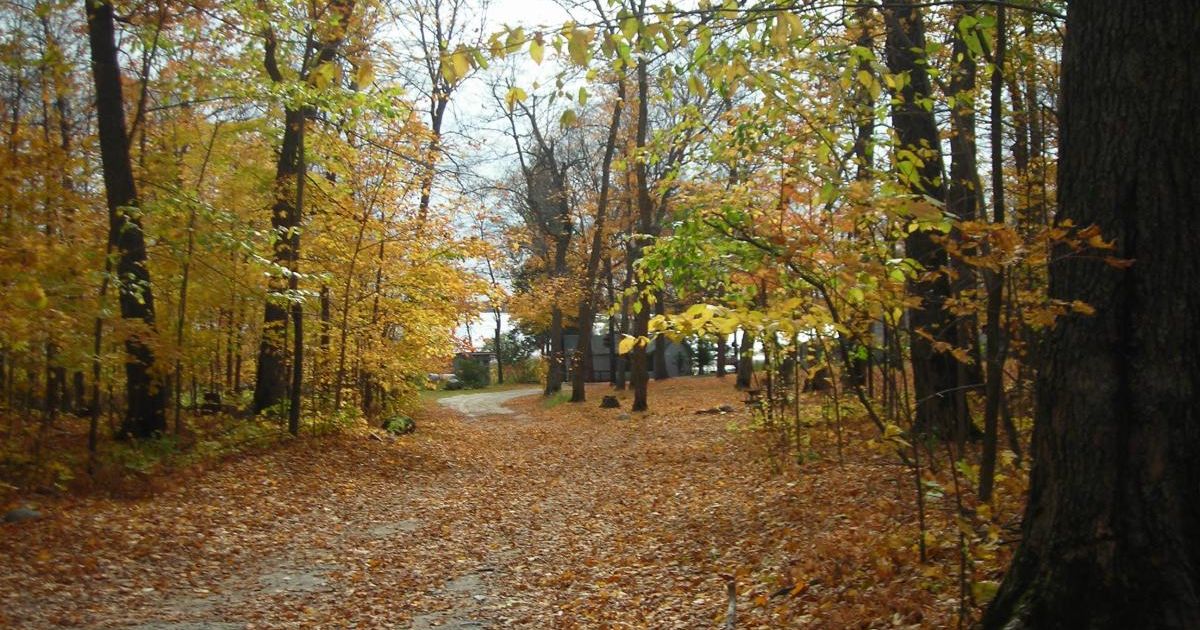 Maple Trails Resort | Explore Minnesota