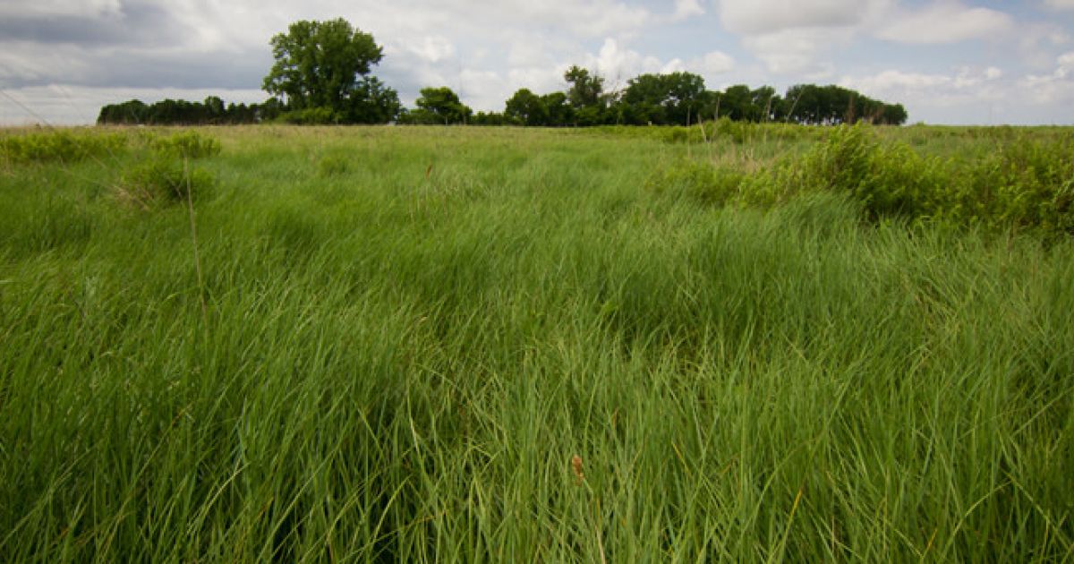 Clinton Prairie SNA | Explore Minnesota