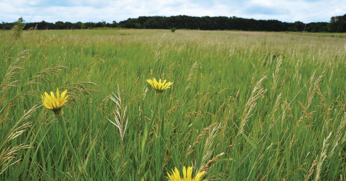 Birch Coulee Battlefield | Explore Minnesota