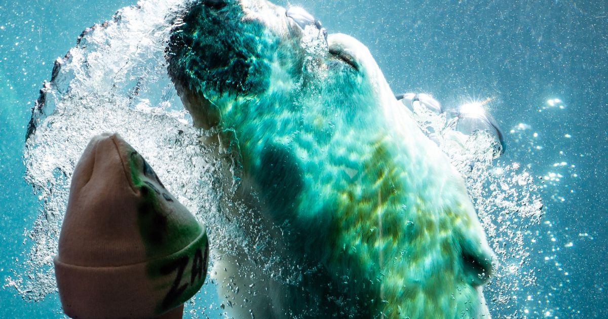 Como Park Zoo and Conservatory | Explore Minnesota