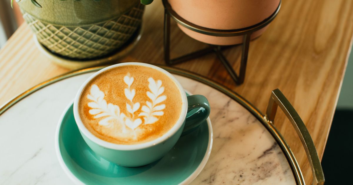 Fiddlehead Coffee Co | Explore Minnesota