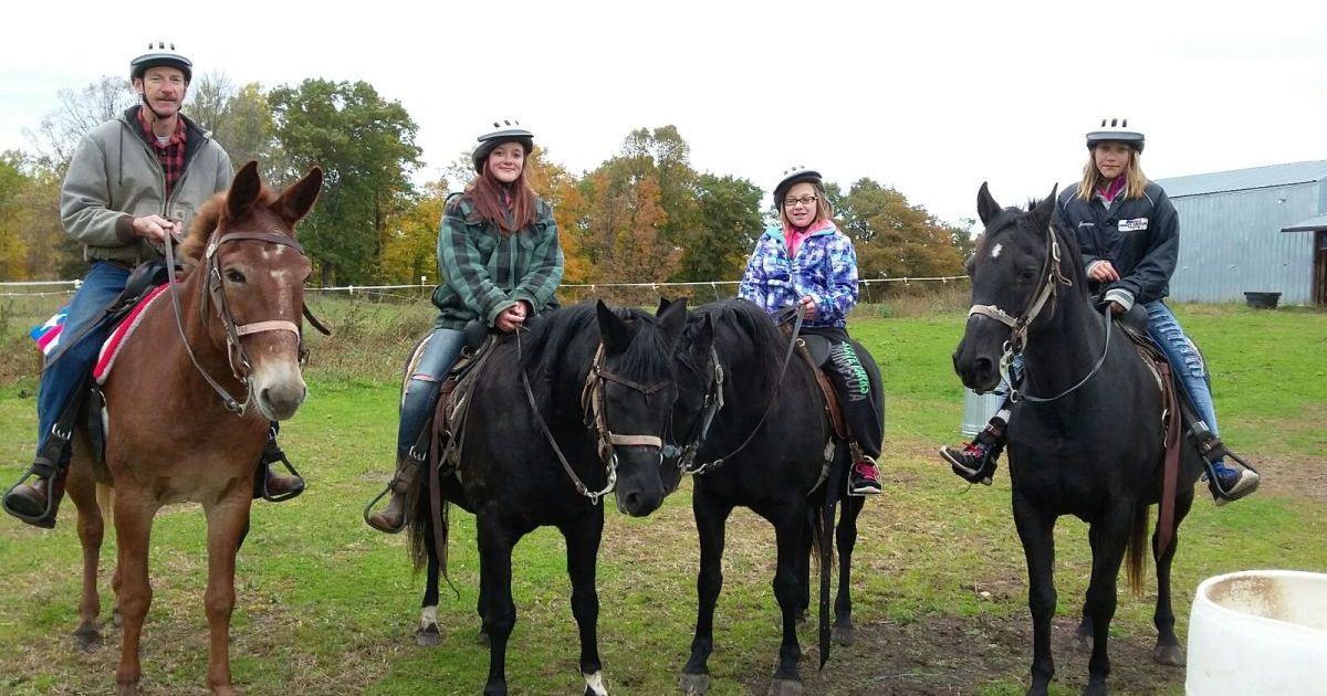 Rolling Hills Arabians and Farm Tours | Explore Minnesota