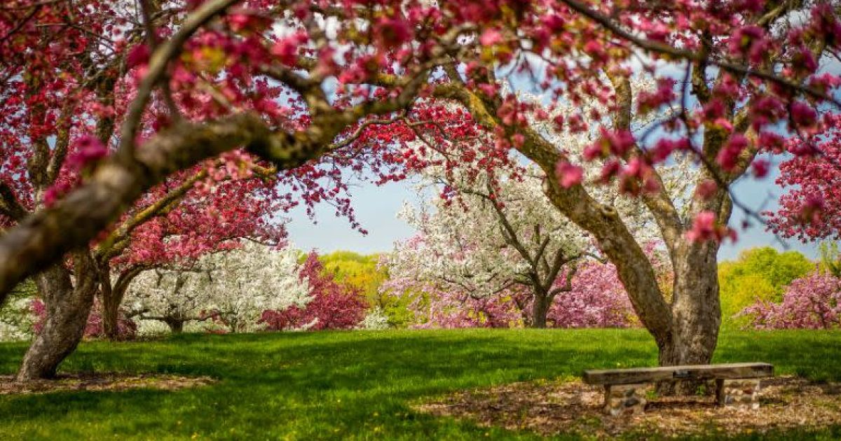 Minnesota Landscape Arboretum | Explore Minnesota