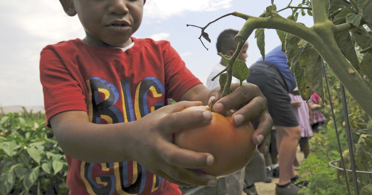 Gale Woods Farm | Explore Minnesota