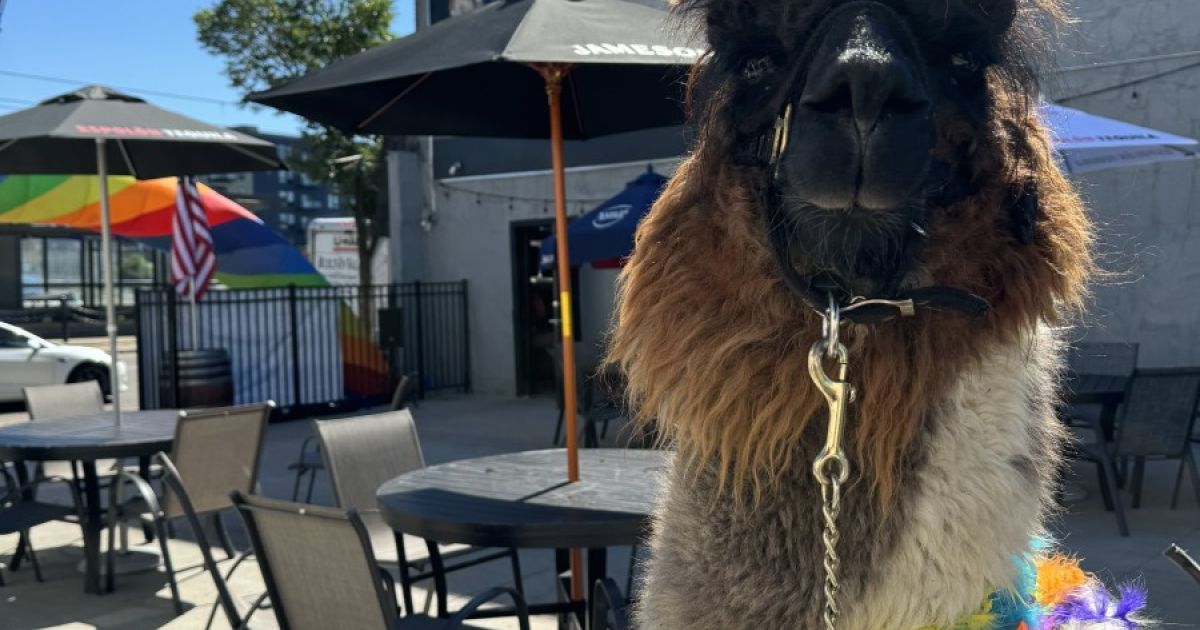 The Midway Saloon | Explore Minnesota