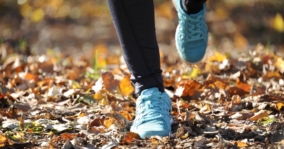 Fall Color Trail Run/Hike | Explore Minnesota