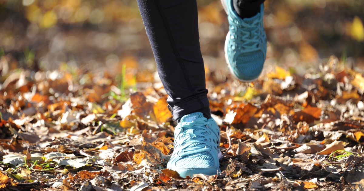 Fall Color Trail Run/Hike | Explore Minnesota