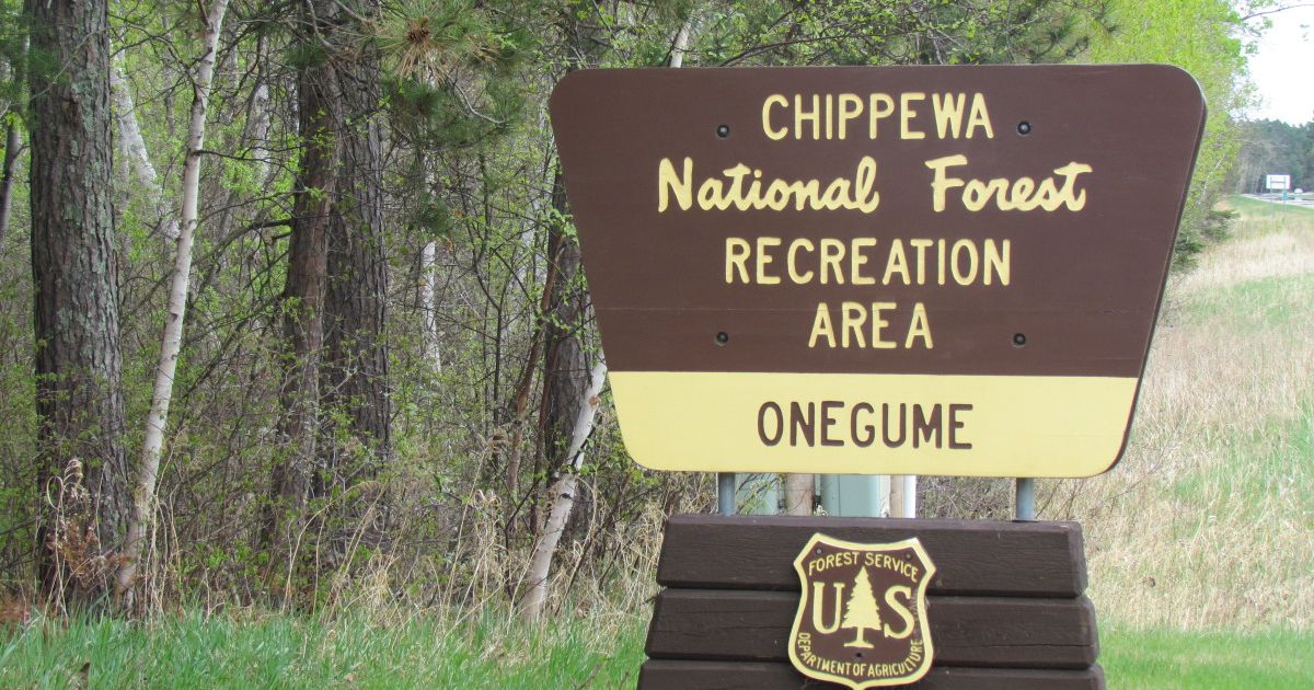 Chippewa National Forest & Campgrounds | Explore Minnesota