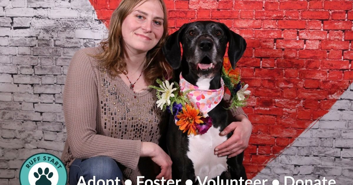 Ruff Start Rescue’s Dating with Dogs: Singles Social and Valentine’s ...