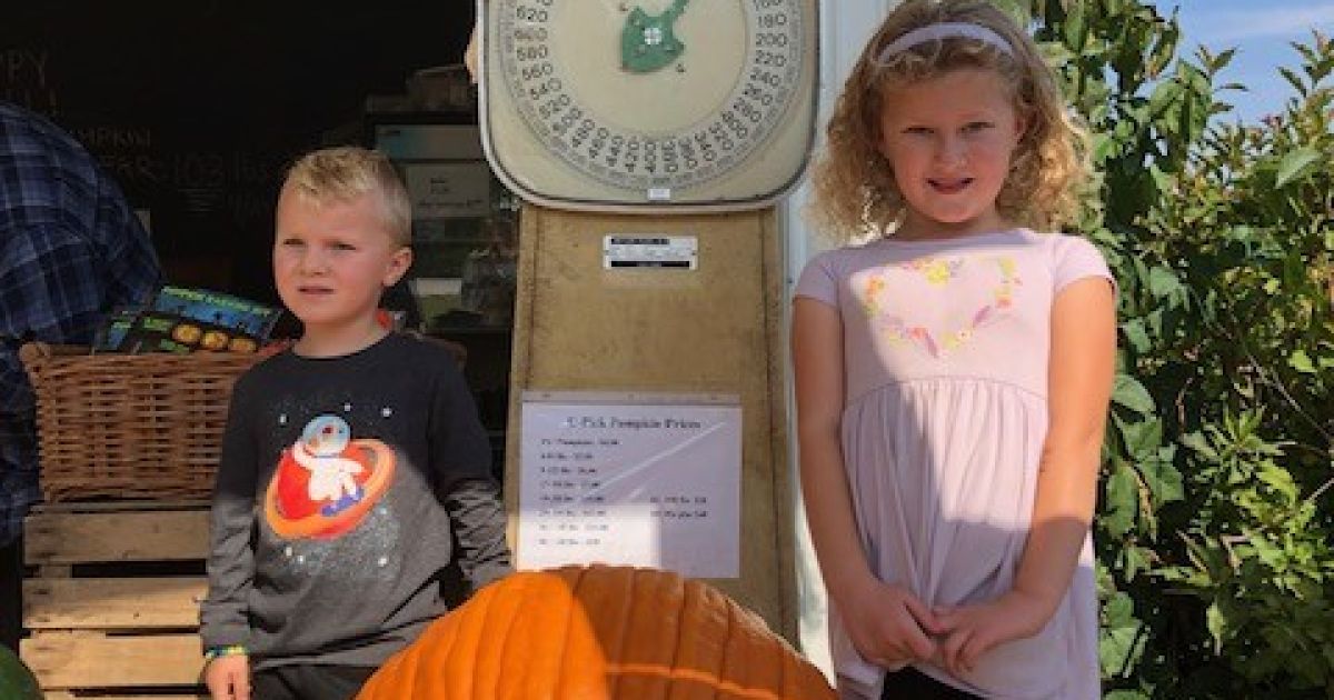 Bridgewater Farm Opening Weekend | Explore Minnesota