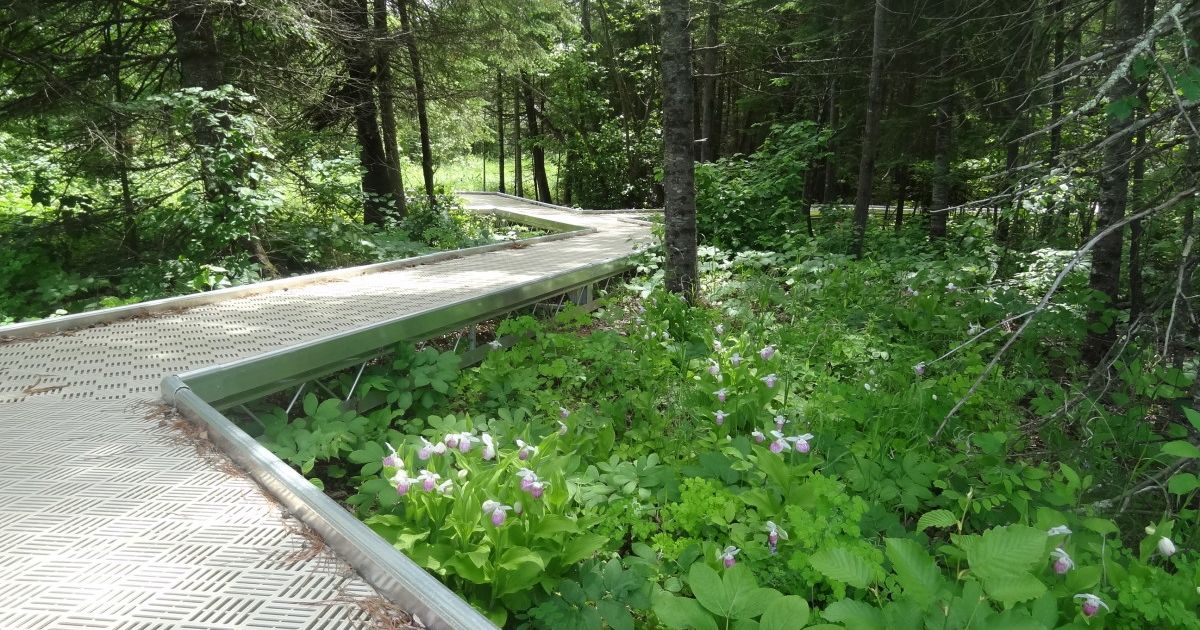 Lady Slipper Scenic Byway | Explore Minnesota