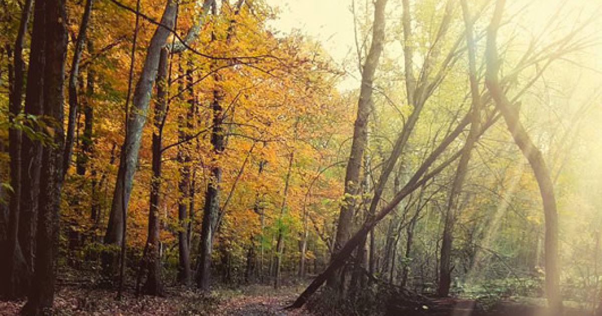 Kaplan's Woods Park | Explore Minnesota