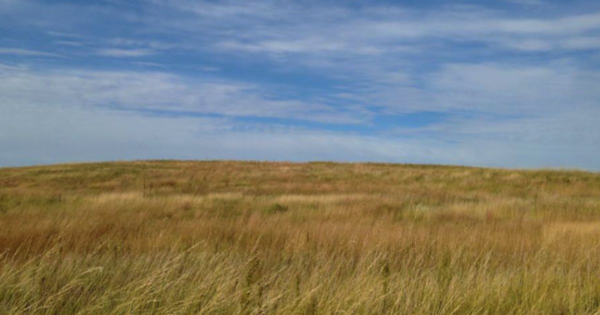 Mound Spring Prairie SNA | Explore Minnesota